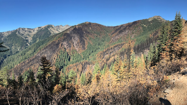 The Siskiyou Crest : 2017 Wallow Fire: Fire Effects in the Marble ...