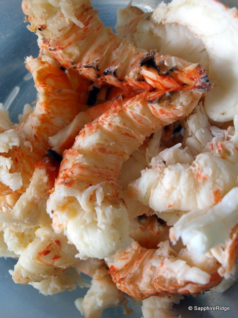 The Sapphire Ridge Chronicles: Minced Crawfish