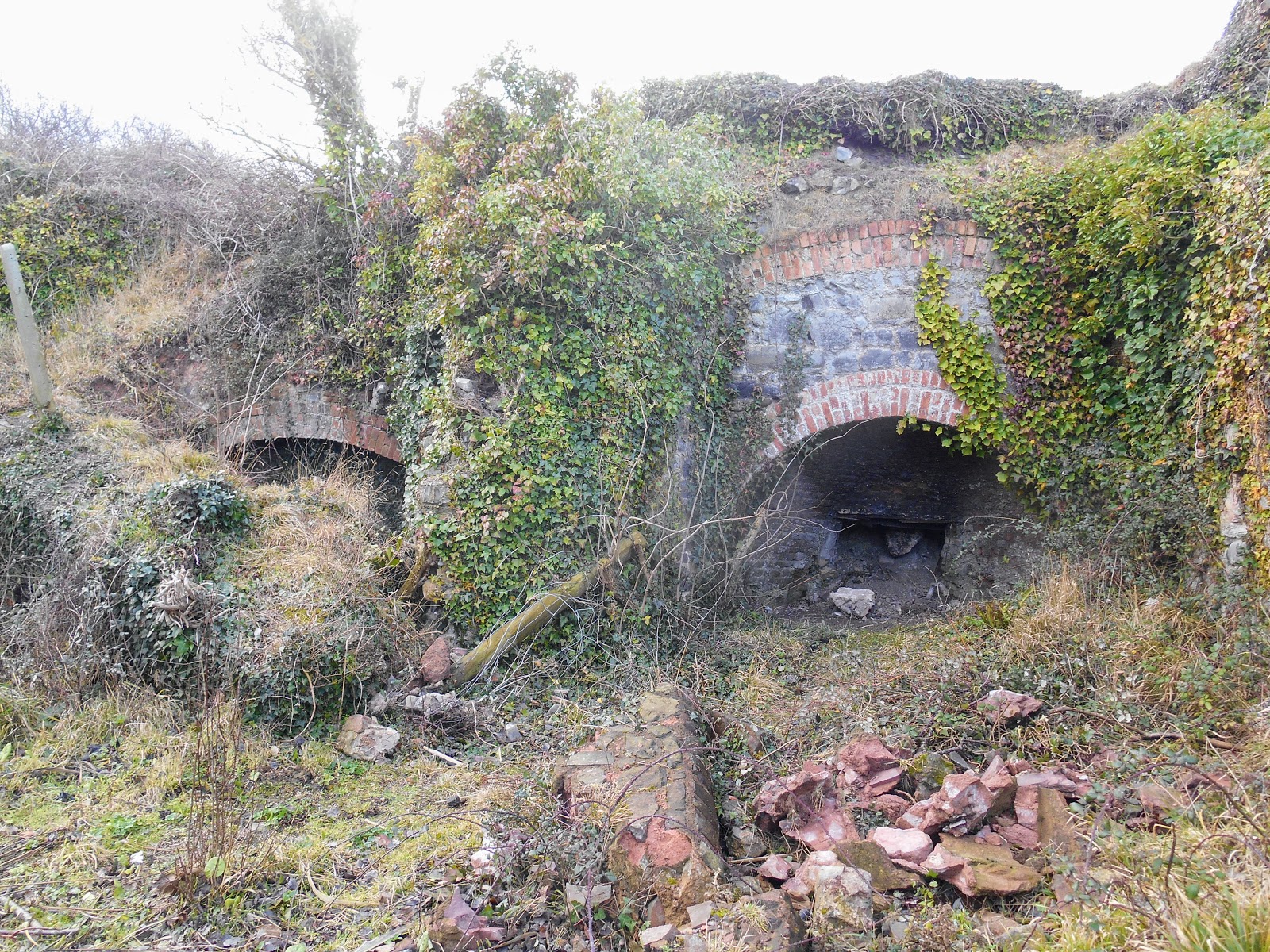 Off the Beaten Track in Somerset: August 2019