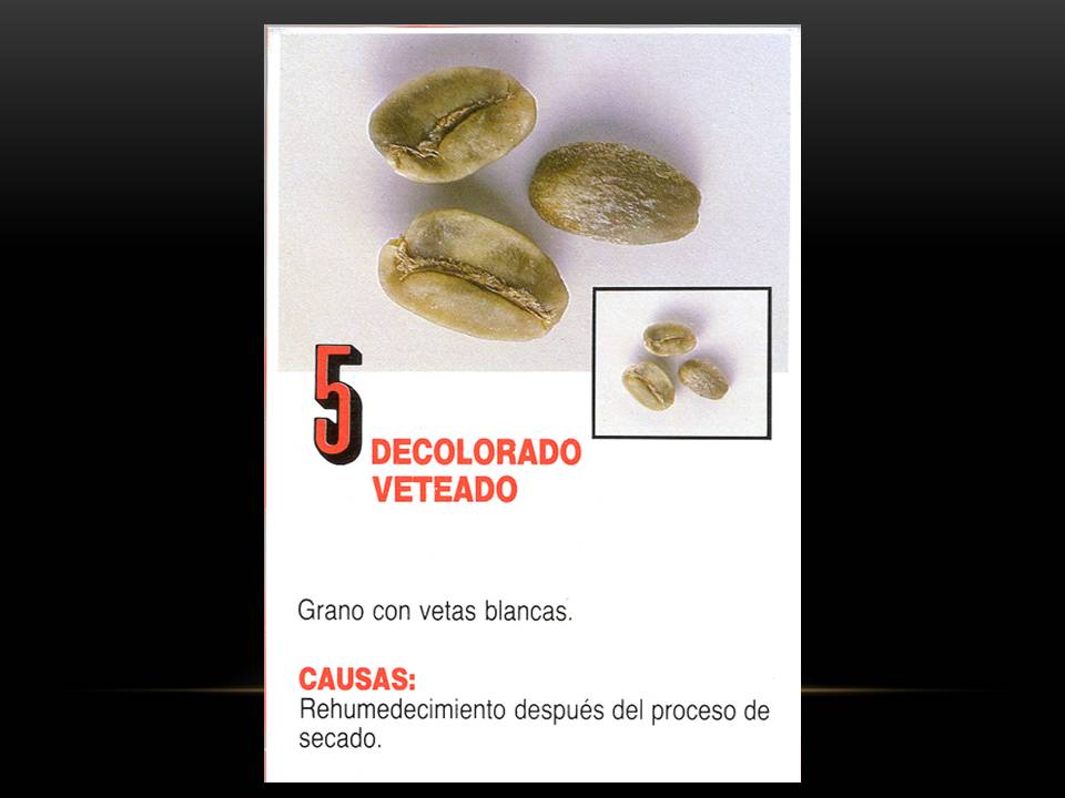 ASESORÍA CAFETERA: CONOSCA LOS DEFECTOS DEL CAFÉ