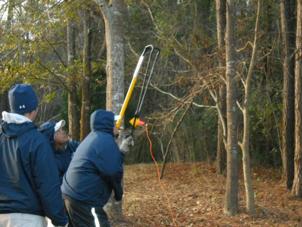 Agronomy @ St. James Plantation: Tree Clearing 2013