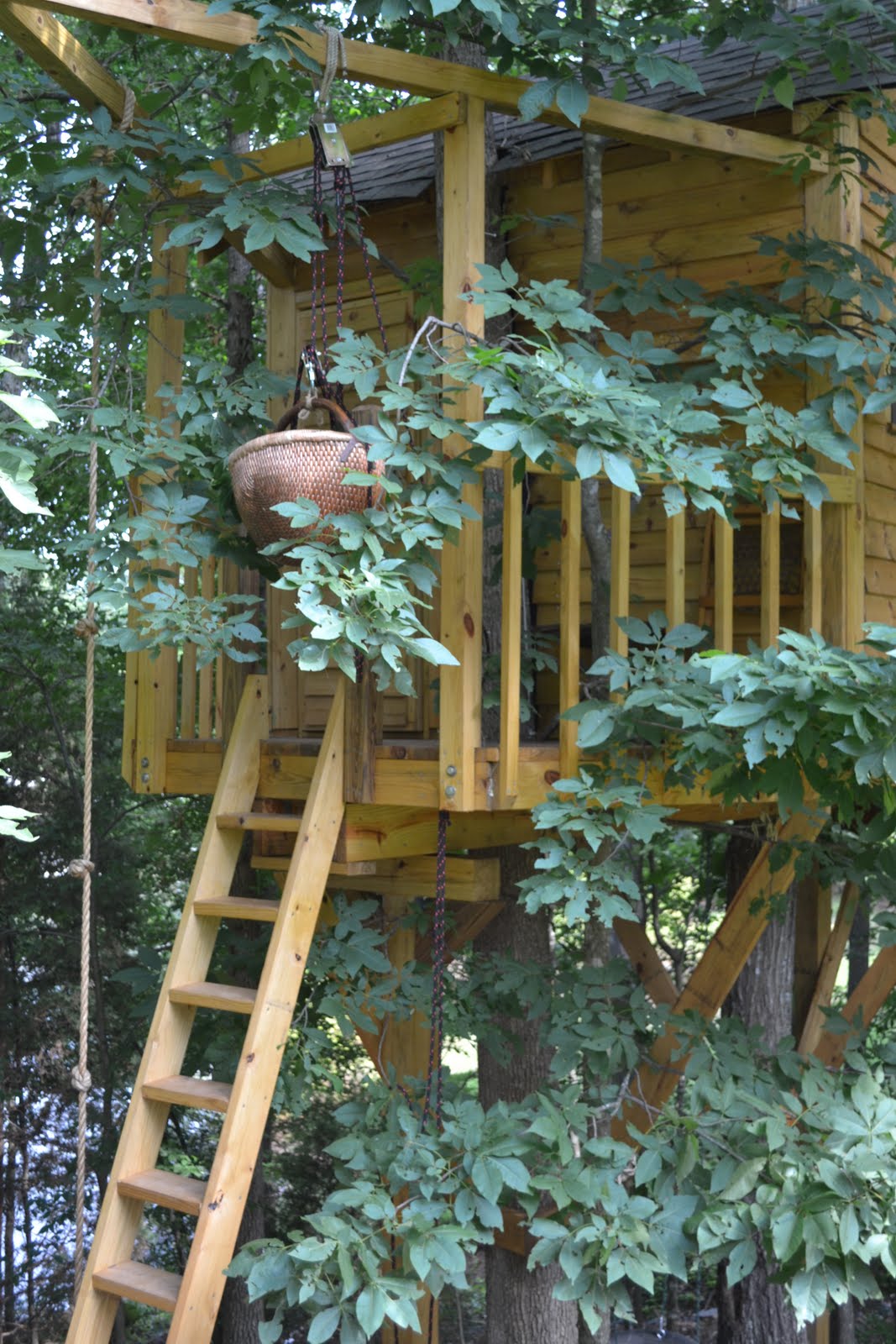 Three Pixie Lane: 'The Great Outdoors' Birthday Party