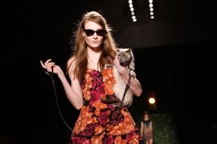 Bunny's Blog: Cats Own the Runway at New York Fashion Week
