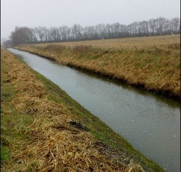 EARTHWORKS: The Flixton Werewolf