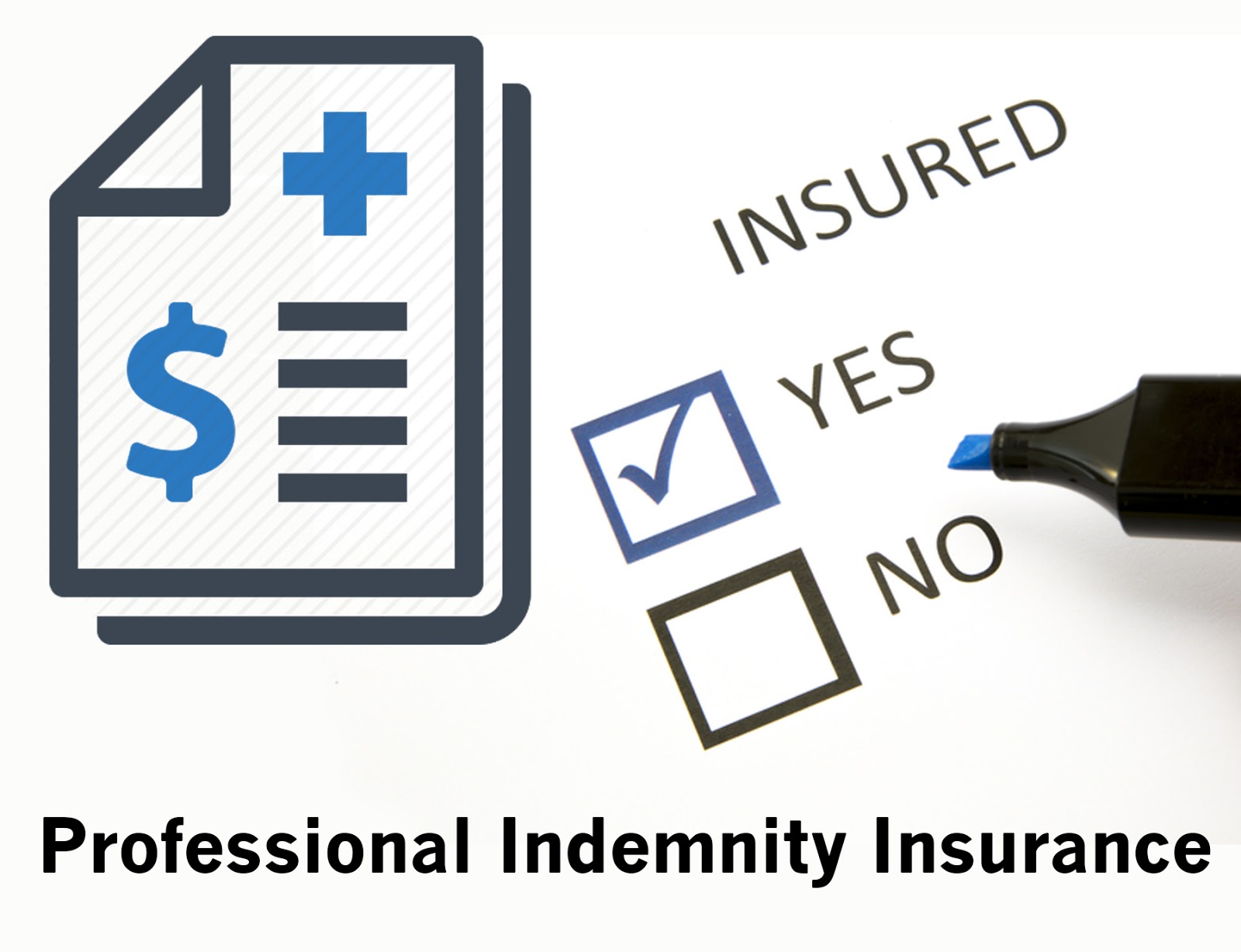 The Insurance Info