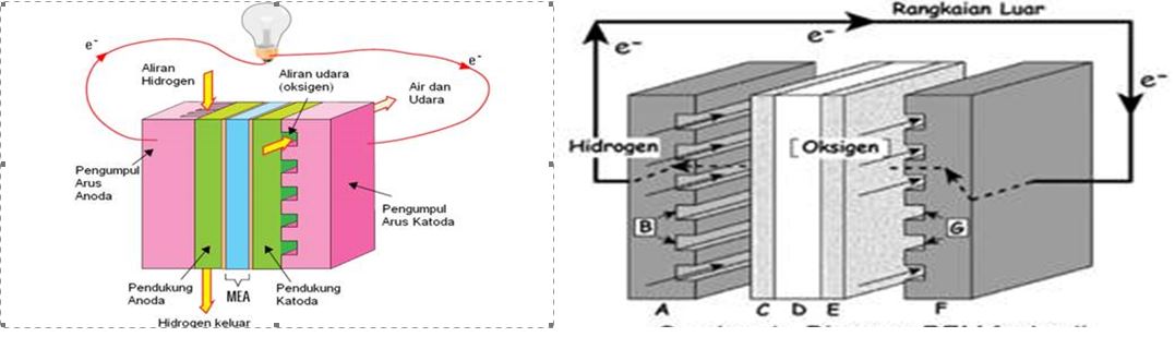 TEKNOLOGI FUEL CELL : Polymer Electrolyte Membrane (PEMFC) | CANGKANG SAINS