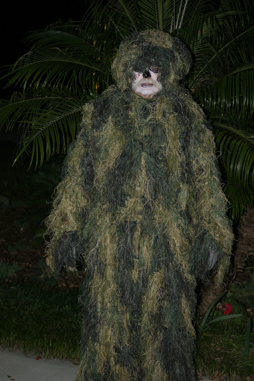 Papillon Pals: Gilly Suit and Halloween....