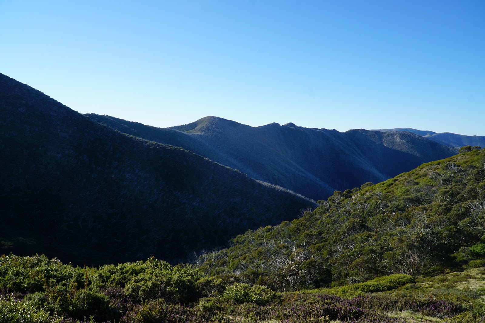 Mt Feathertop via the Razorback (Alpine NP) ~ The Long Way's Better