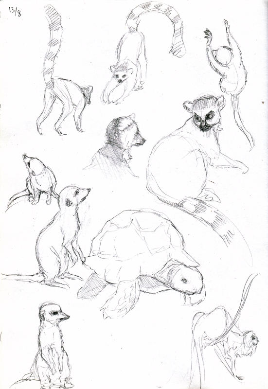 The Imaginographica: In which I draw animals