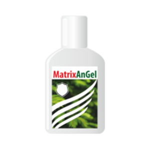 БИЗНЕС 21 ВЕКА: О ГЛАВНОМ