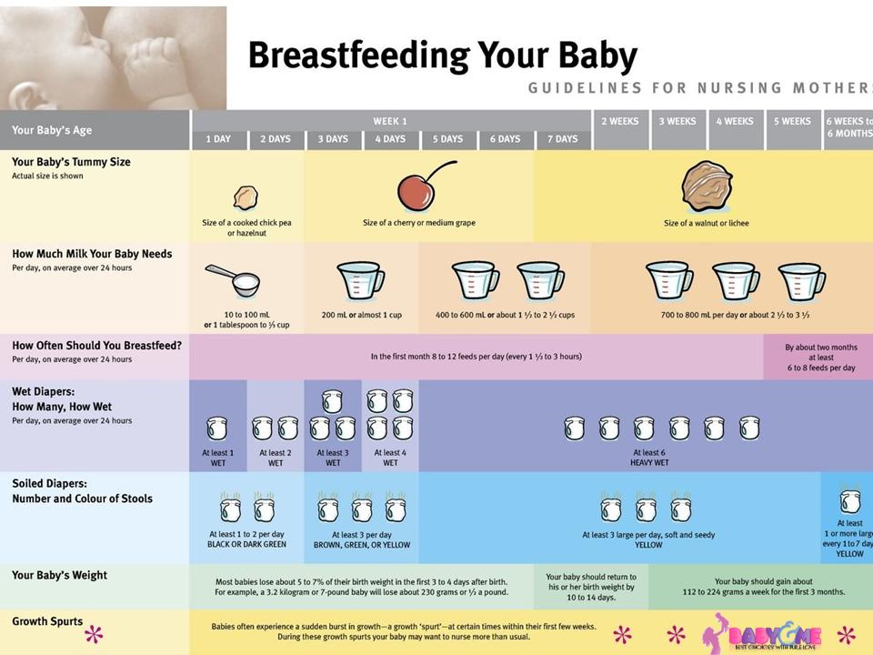 MyLittleYaya: Cukup ke Susu Ibu?