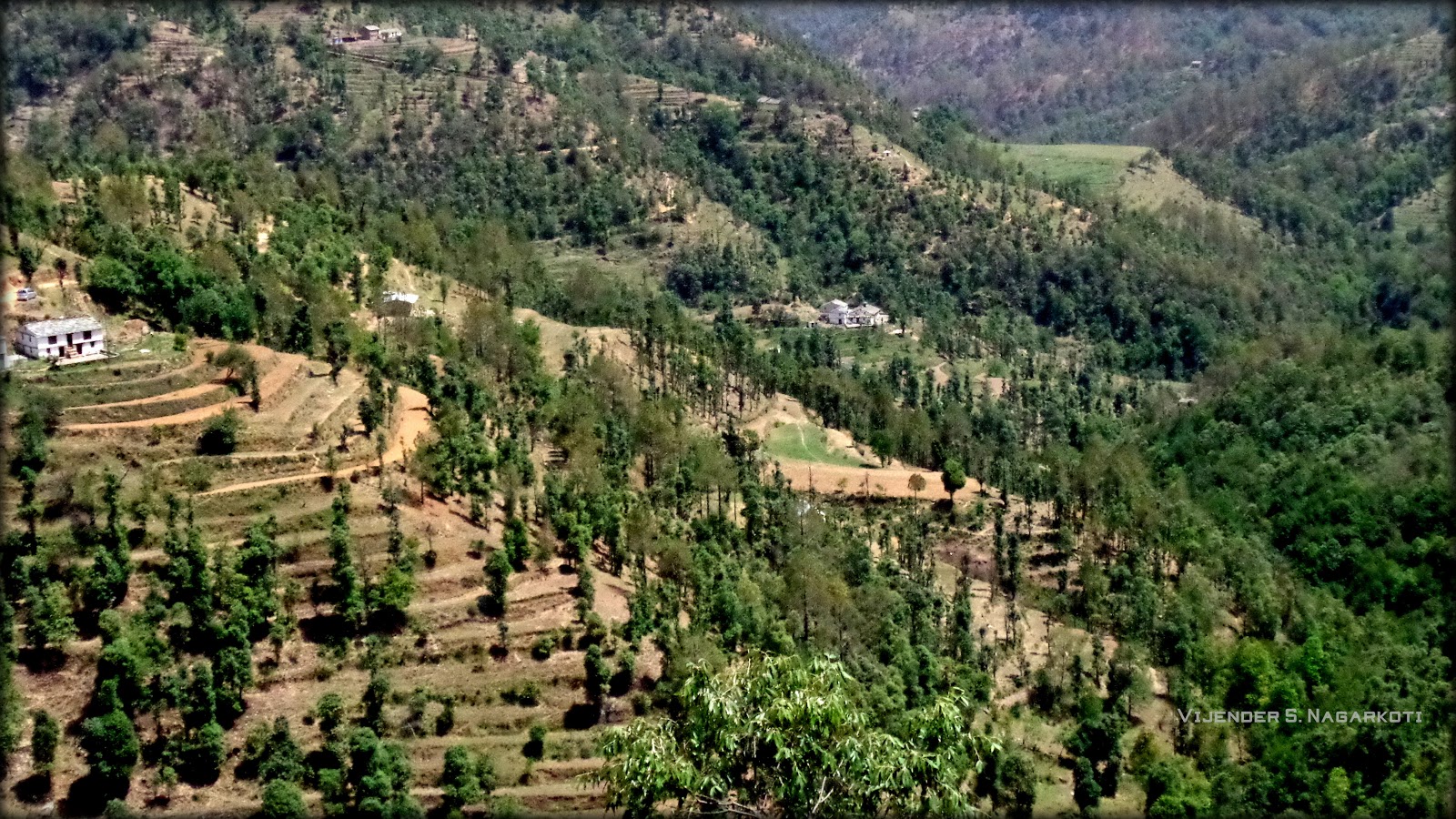 Uttarakhand Tourism: Dwarahat Dunagiri & Pandavkholi Photos