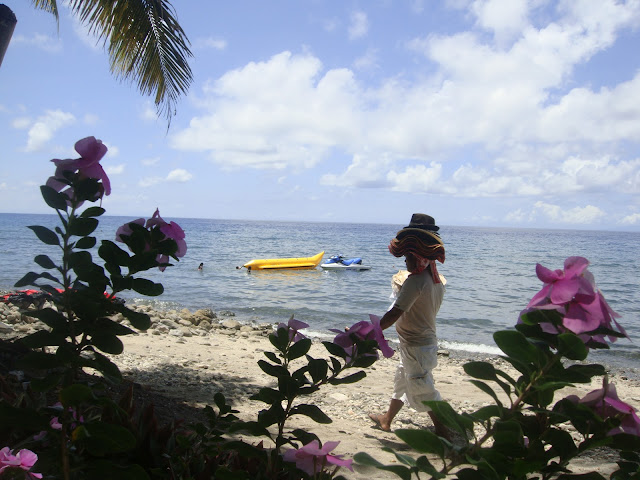 Anything so Beautiful: Alahbiga Beach Resort