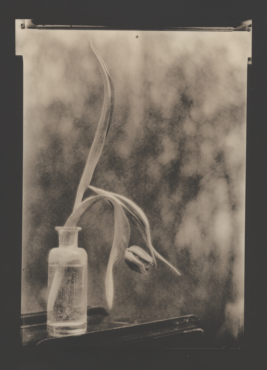 Historic photographic processes