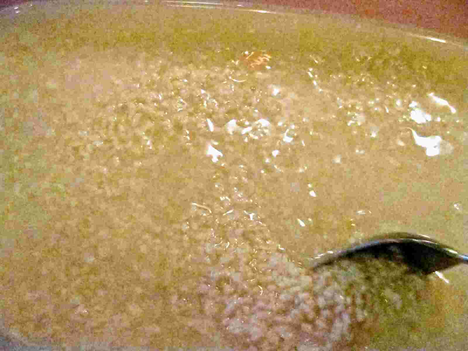 Recipes for Tom: Shiokoji salted rice malt