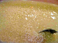 Recipes for Tom: Shiokoji salted rice malt