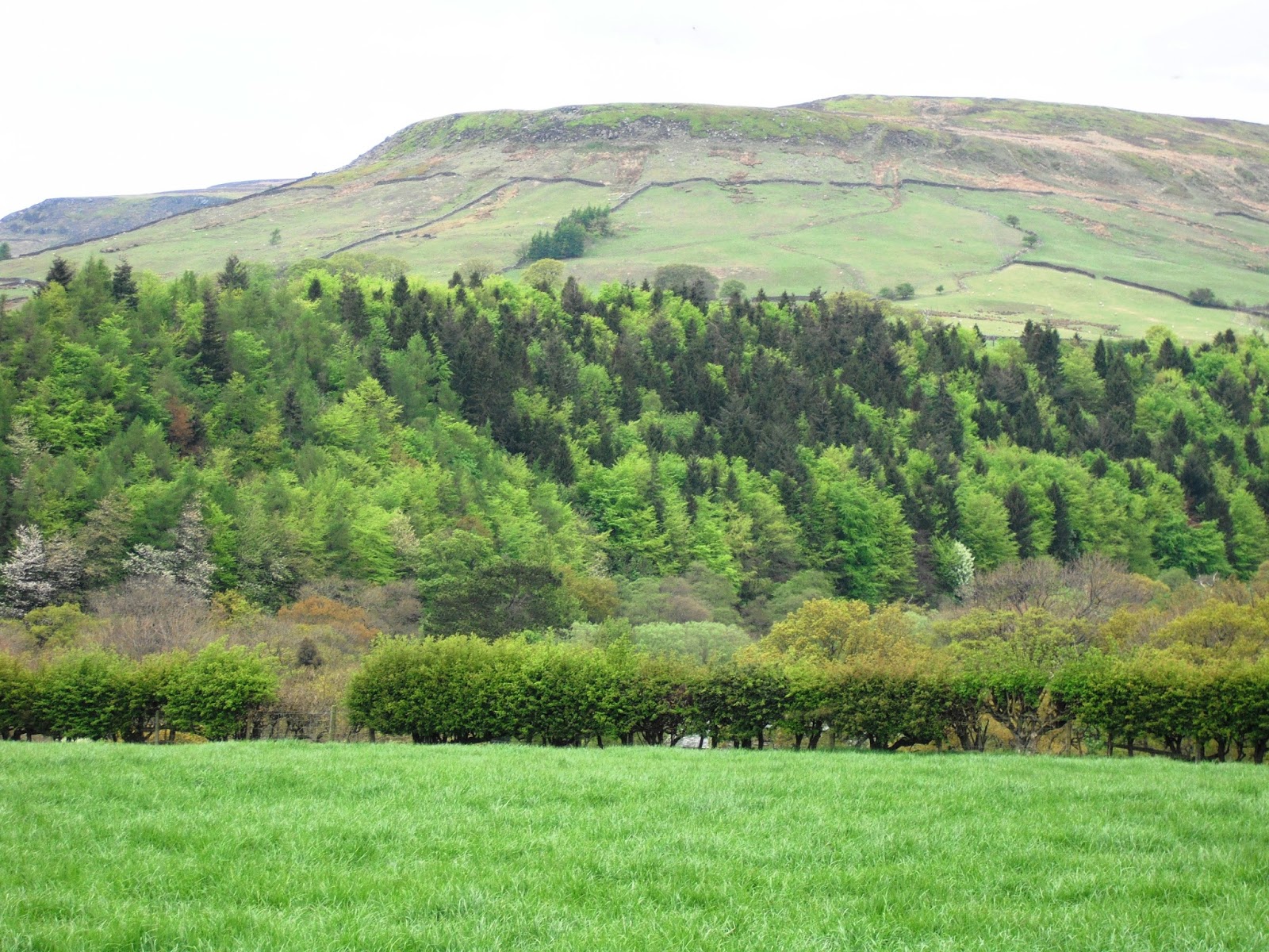 Love my life: 12 mile walk from Gillamoor in North Yorkshire