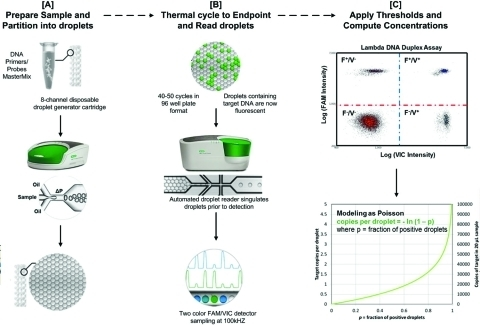 Biodiversity Science: Measuring eDNA concentrations
