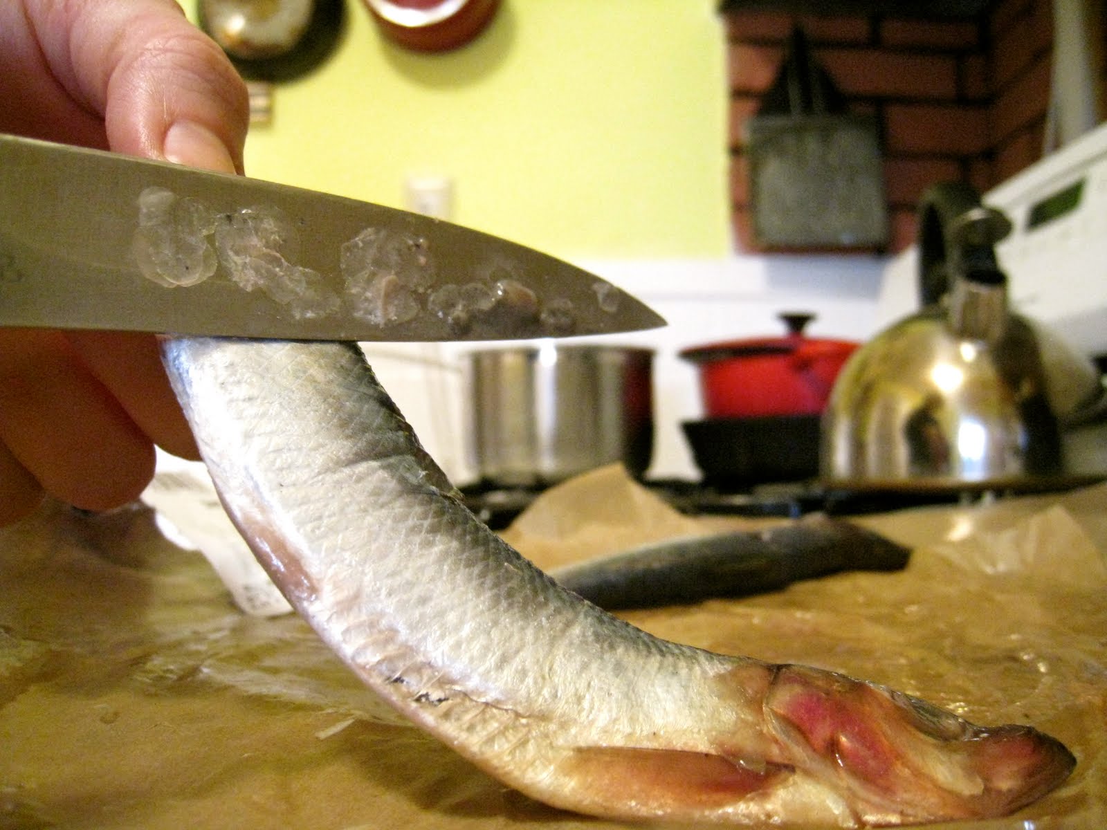 Grill A Chef: March 2011