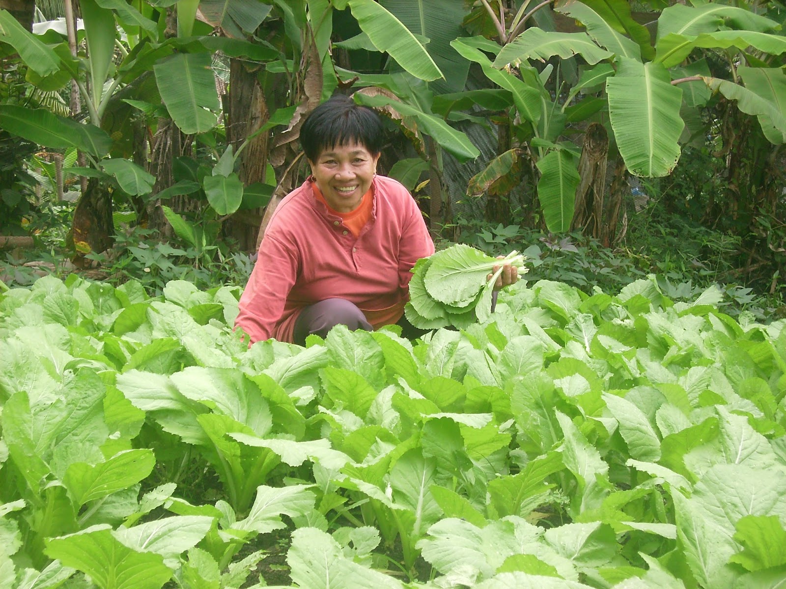 Philippines Climate Change Adaptation Project