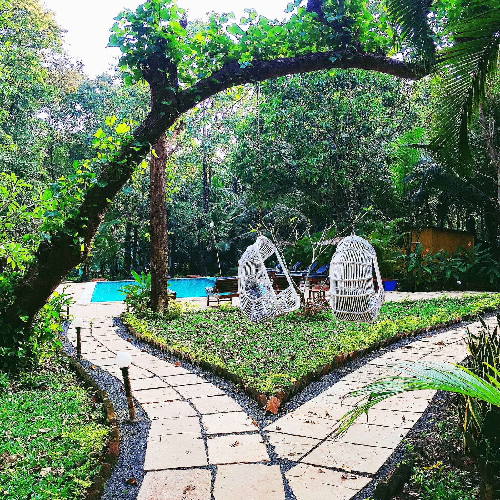 PEACE LOVE YOGA: Purple Valley Highlights - Goa, India