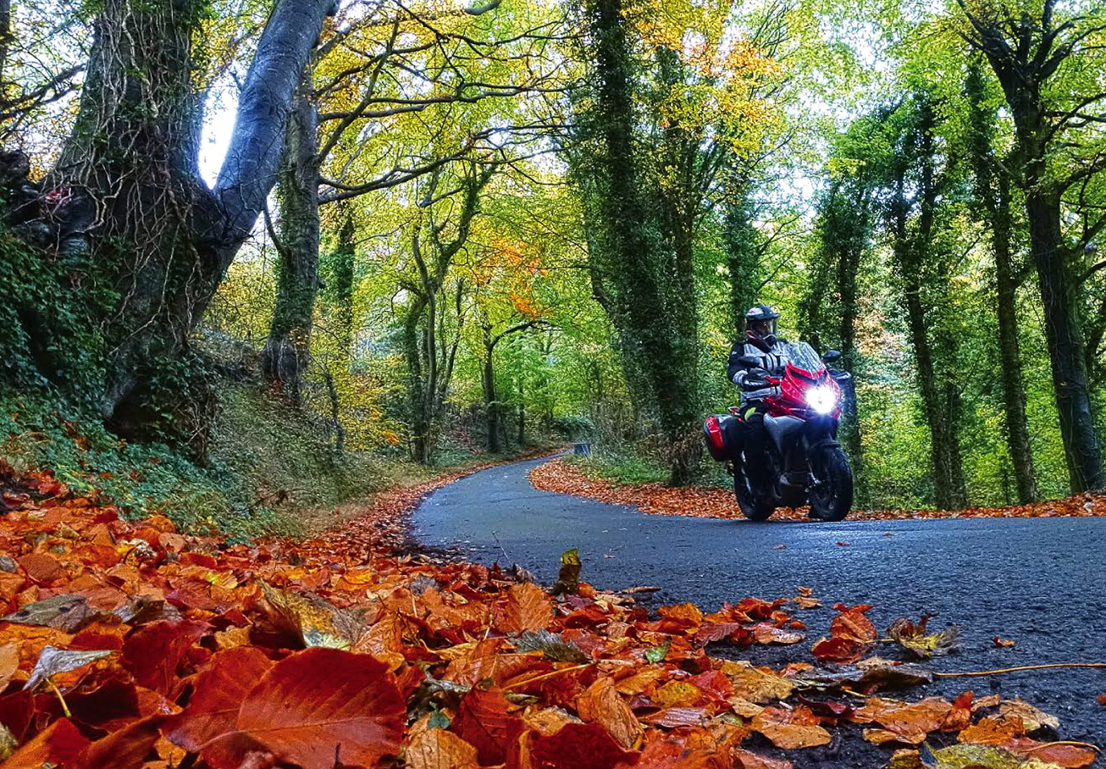 Tim's Motorcycle Diaries: Motorcycle Photography