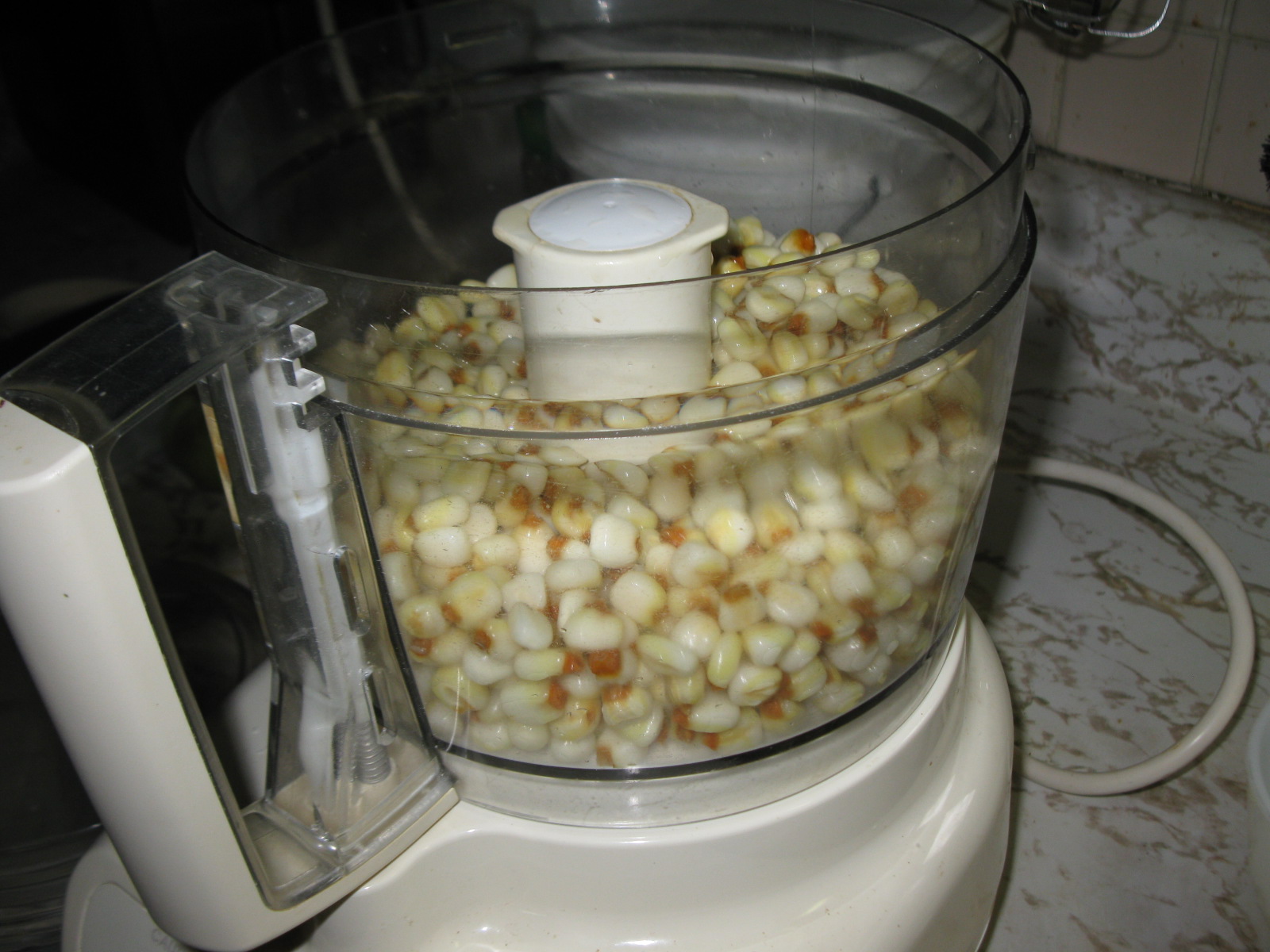 Simply Homemaking: Fresh Masa and Corn Tortillas