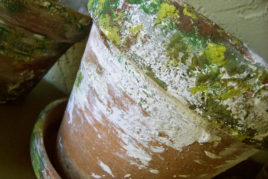 Saturdays Vintage Finds: Making Messy-Mossy Terra-Cotta Pots Tutorial