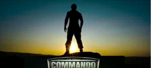about-bollywood-movie: Movie Commando Wallpaper, Vidyut Jamwal , Pooja ...