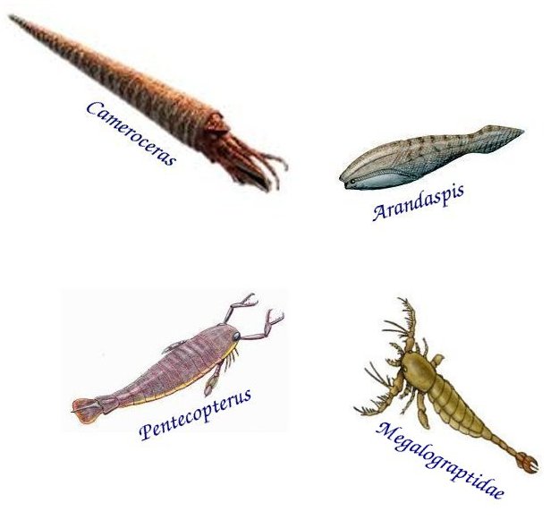 Período ordovícico ~ Historia geológica de la tierra con Arturo ANONYMOUS