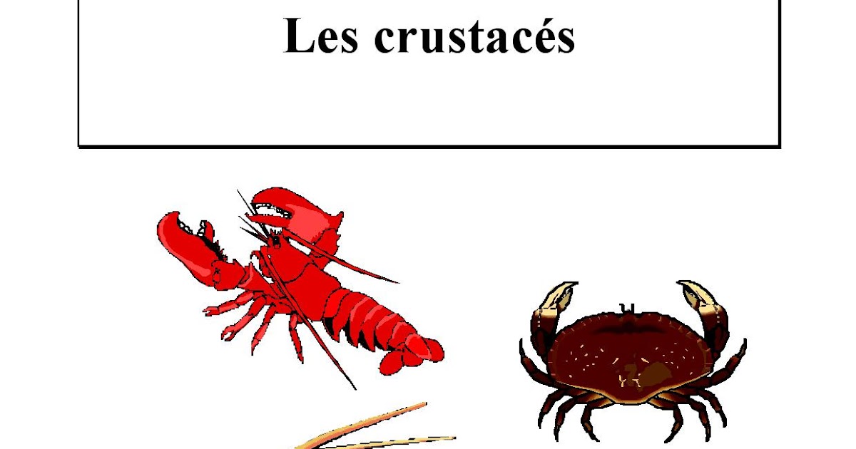 Crustacés ~ Formation professionnelle en art culinaire