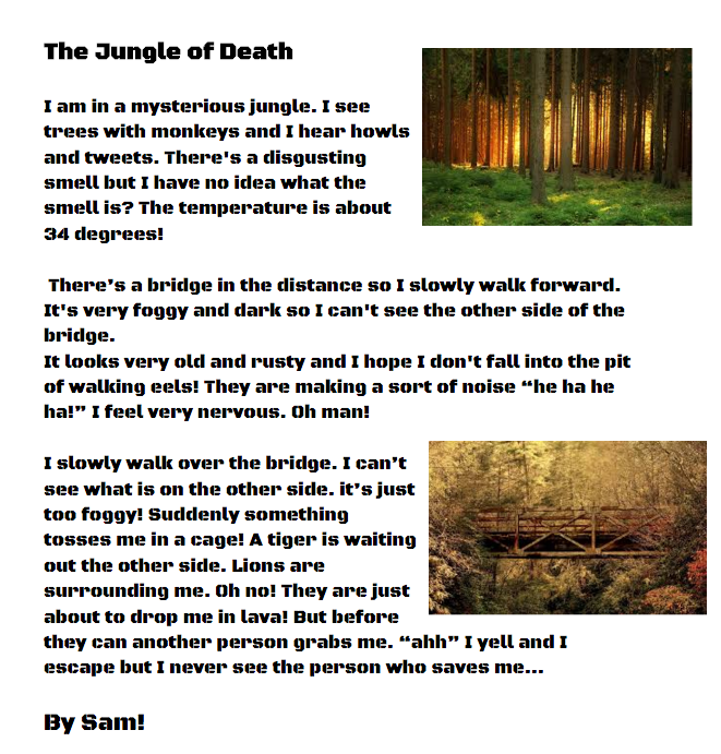 Sensational Fifteen & Sixteen!: Jungle Writing