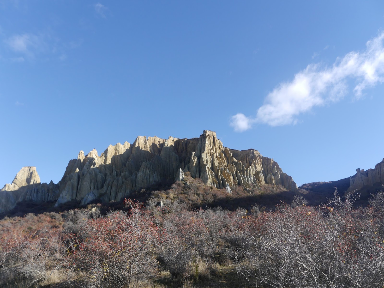 Träume nicht dein Leben, sondern lebe deinen Traum!: Sandfly Bay ...