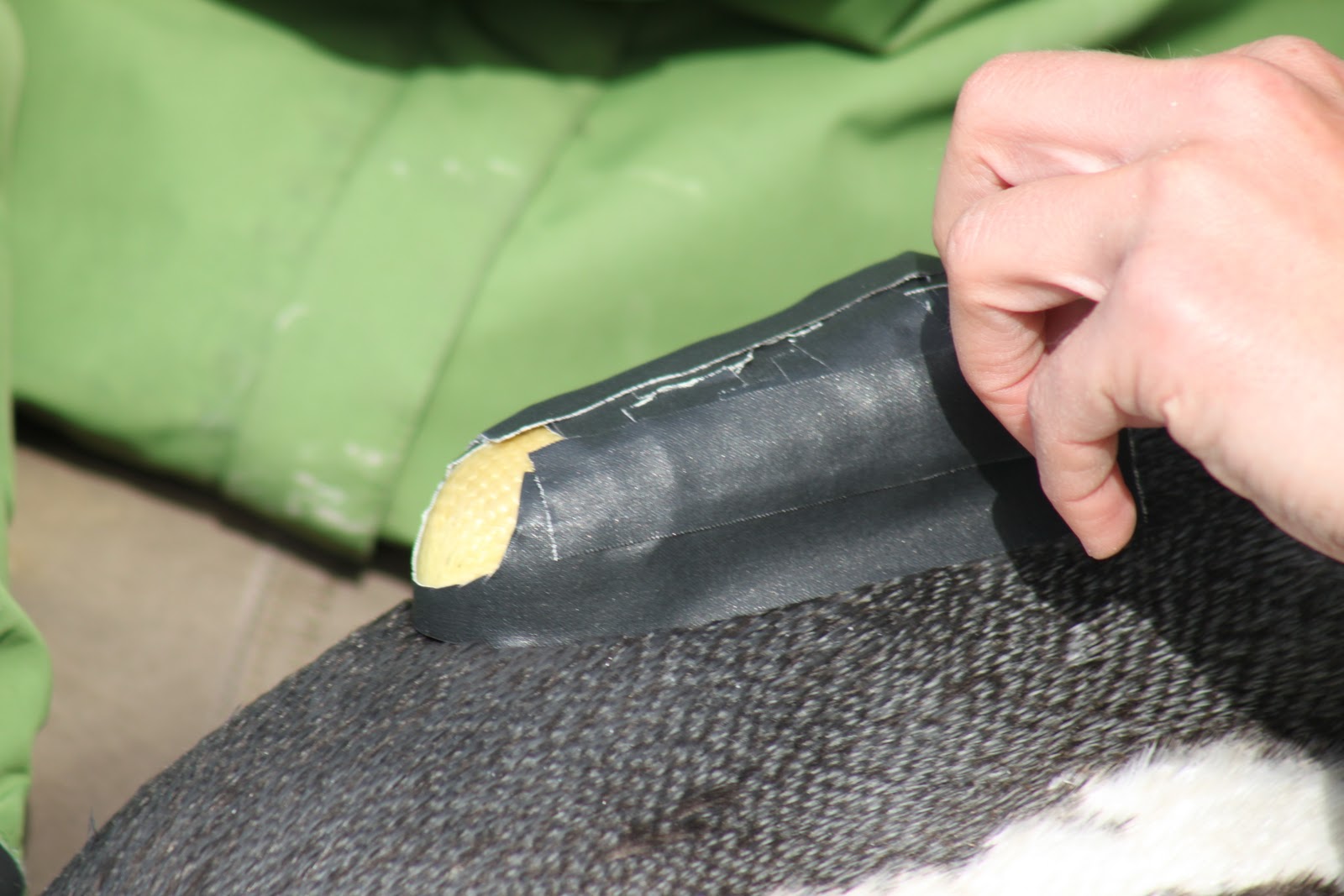 Robben Island Penguin Tracks: Methods