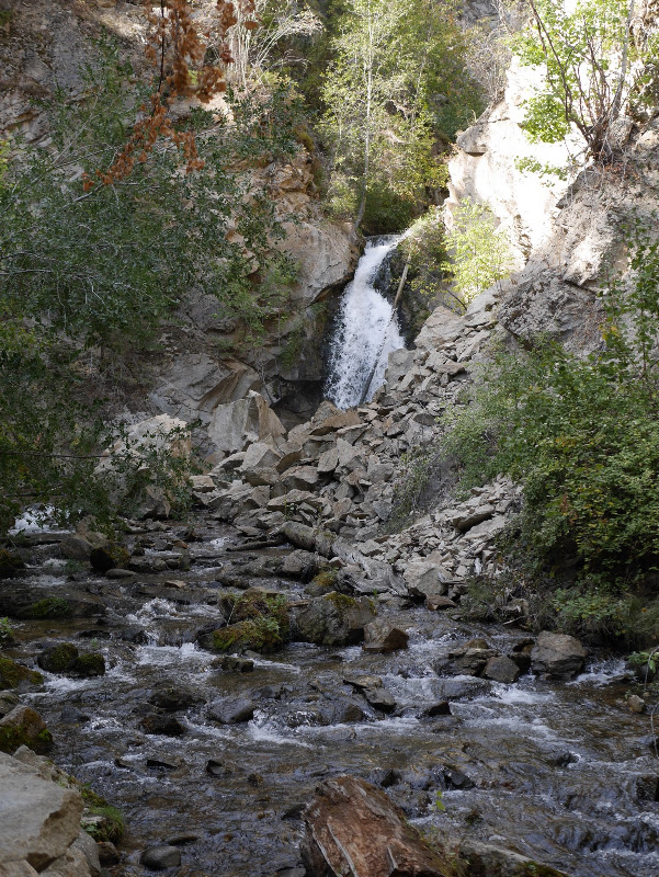 Hardy Falls Salmon Run – Backwoods Mama