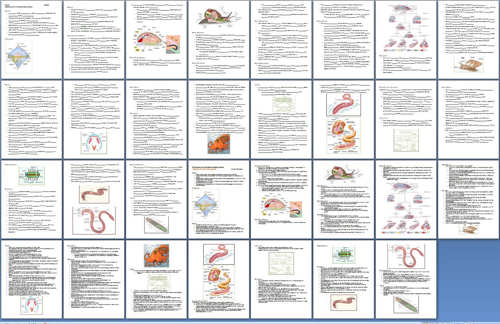 The Lesson Guide: Animal Kingdom Mollusks and Annelids Unit Bundle - 8 ...