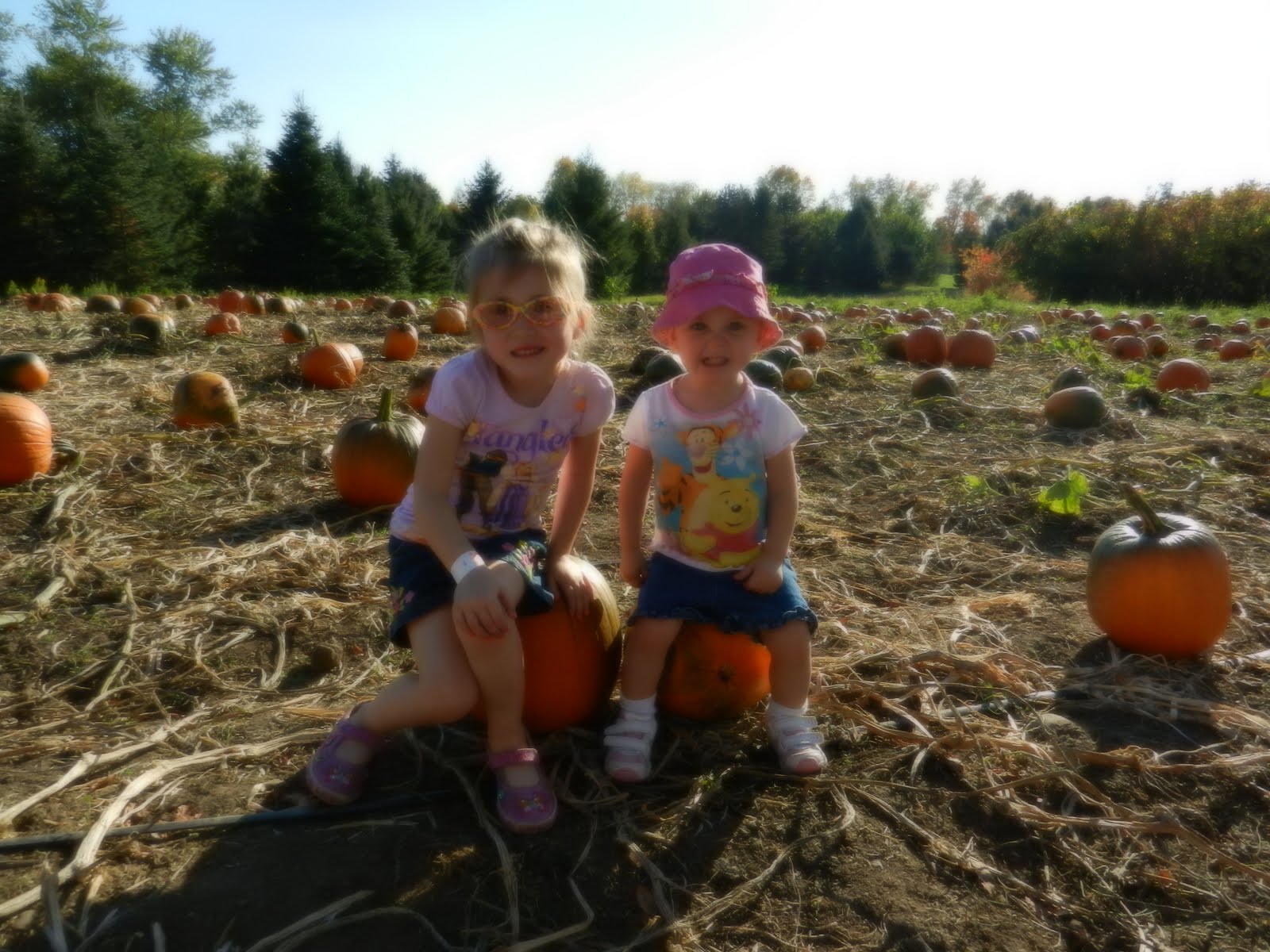 The Marsh Family Blog: Pumpkin Patch, Baby Gates and M&M's