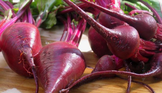 Traditional Indonesia Medicine : Beet (beta Vulgaris) : Exterminate ...