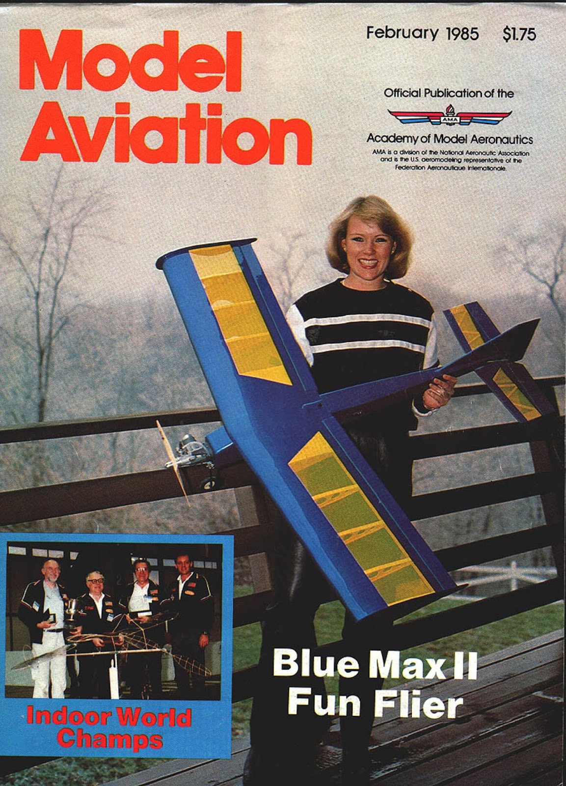 Wells' R/C Airplanes: Blue Max and Midwest Hots