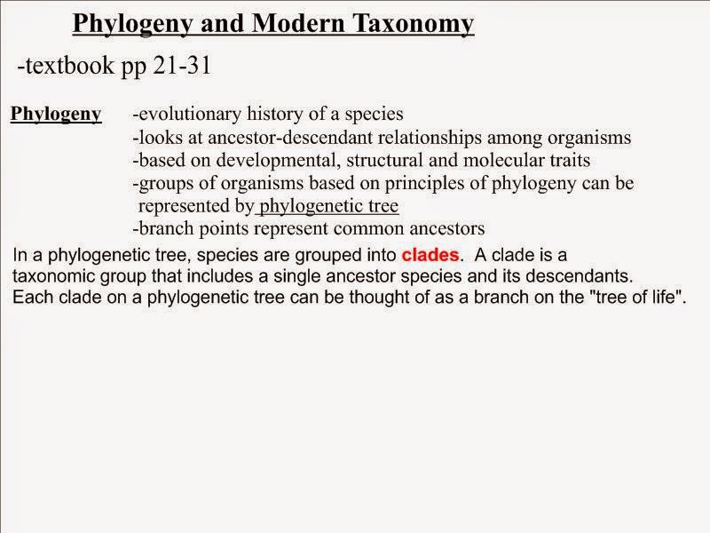 11 Biology: Phylogeny and Modern Taxonomy