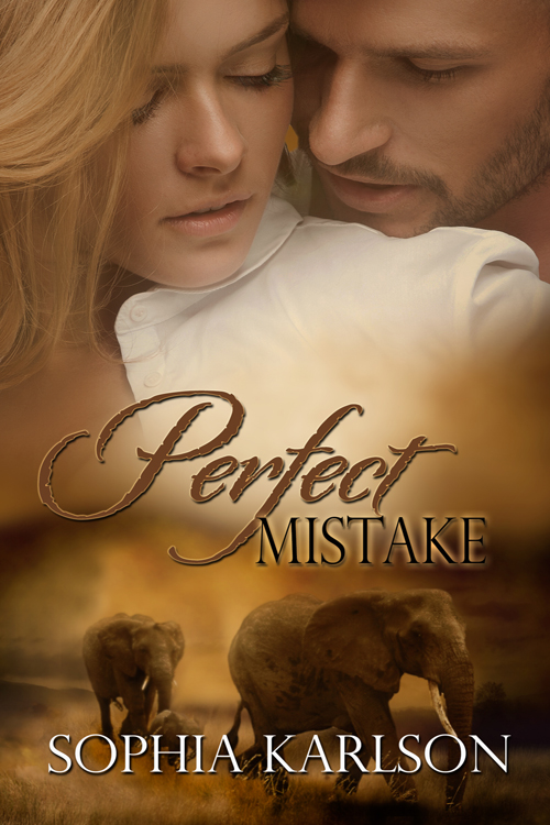 Our Town Book Reviews: A Perfect Mistake