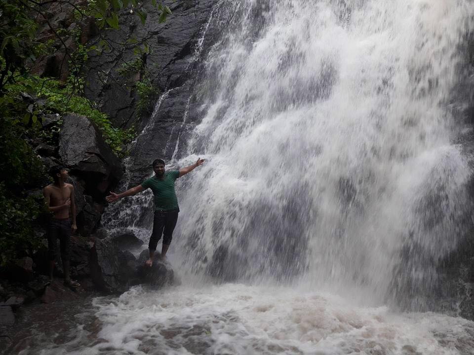 AMBICA EXOTICA: RESORT AT POLO FOREST: SPECIALTY