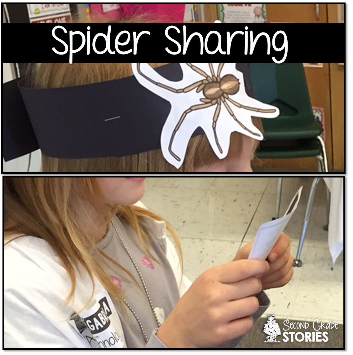 Spectacular Spiders! - Second Grade Stories