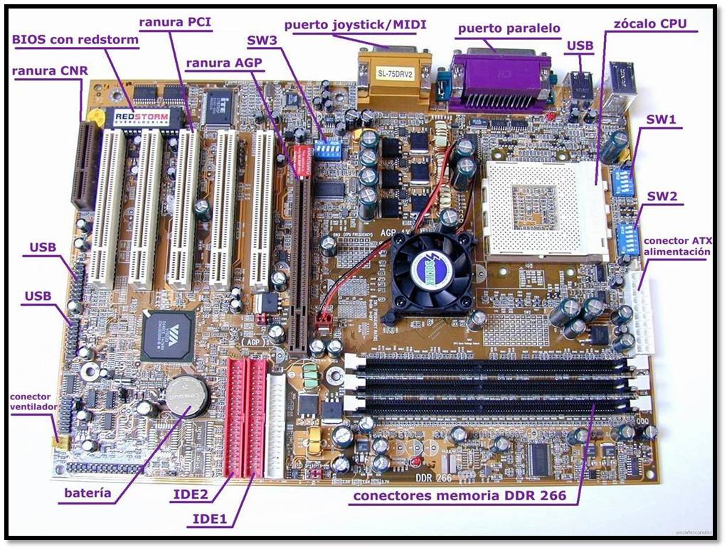 TECNOAPRENDÍZ: LA MAINBOARD