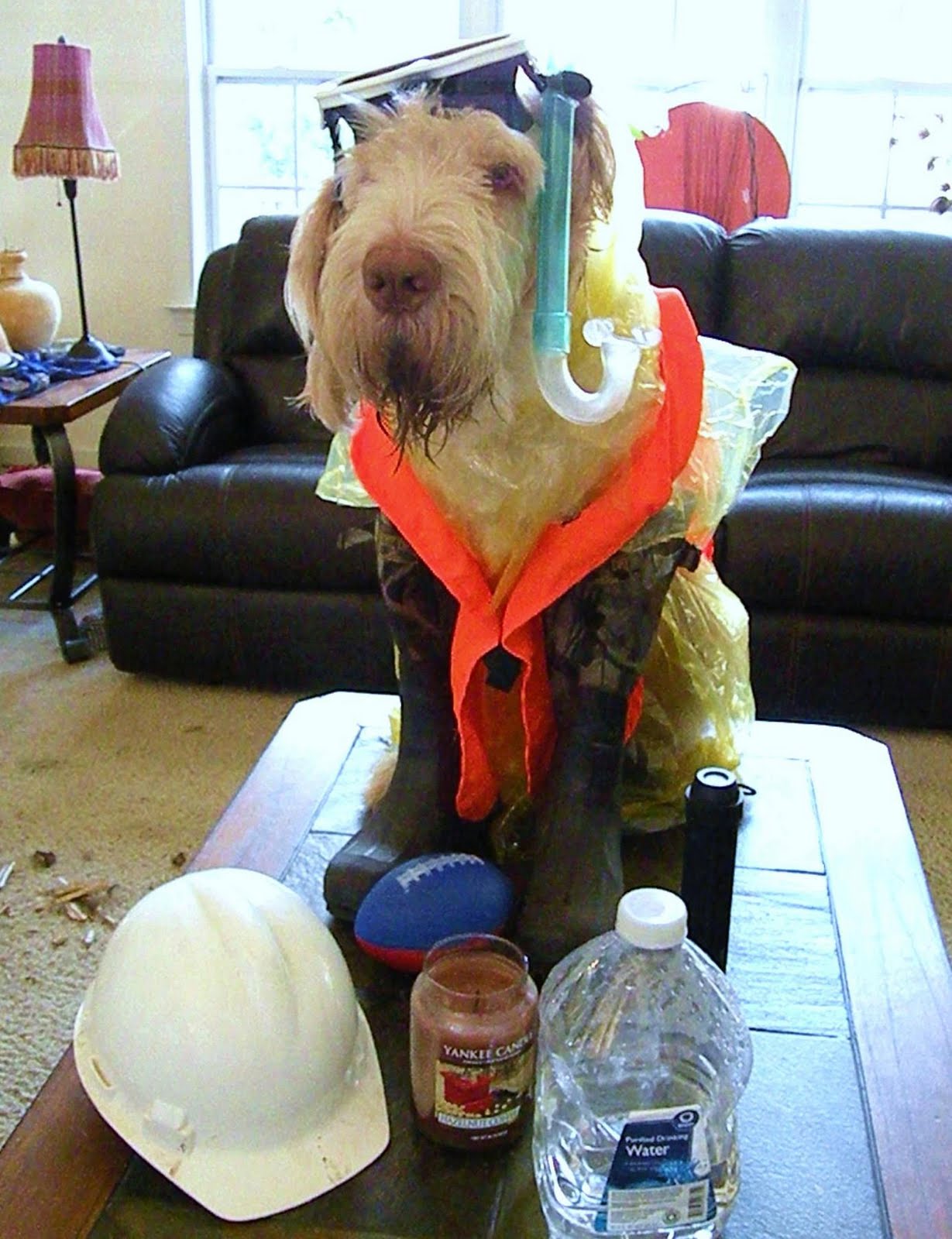 Sparkles the Fire Safety Dog: August 2011