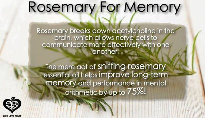 Living with Young Living Essential Oils: Rosemary Can Boost Your Memory!