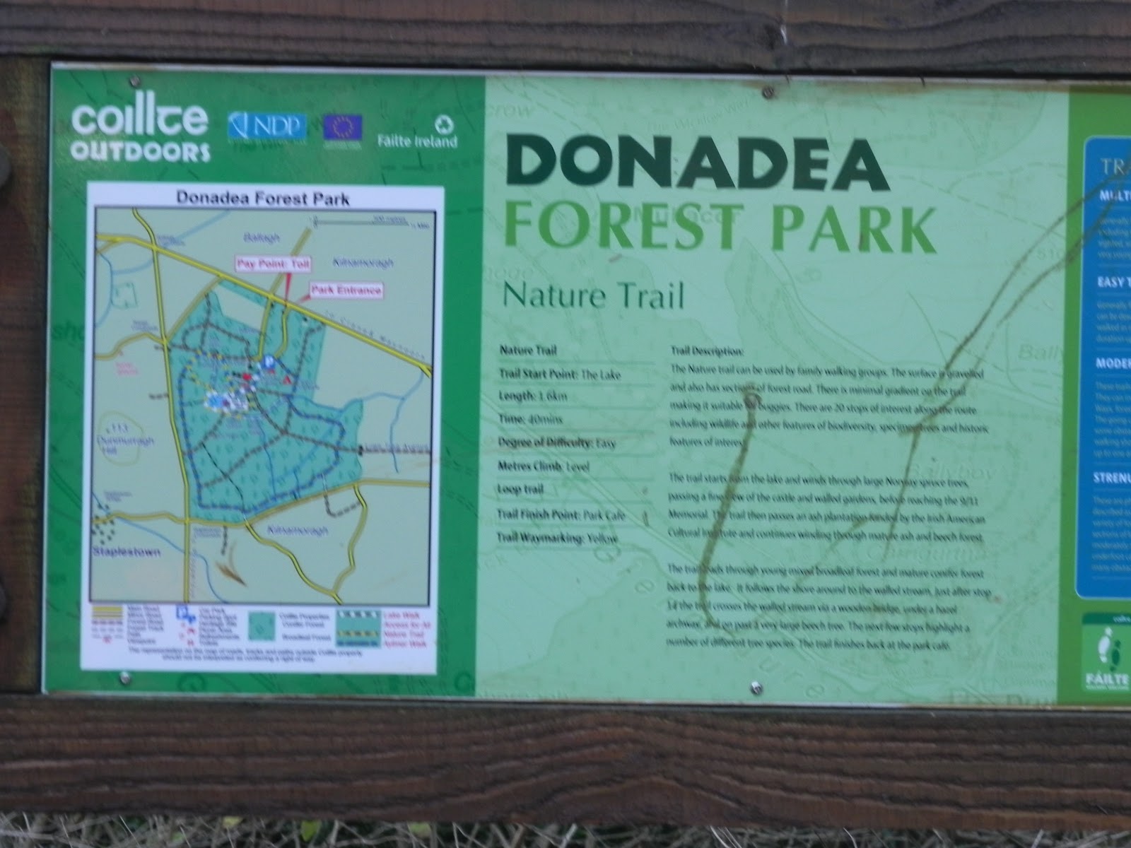 EXPAT WITH KIDS IN DUBLIN : Donadea Forest Park, just outside Co. Dublin