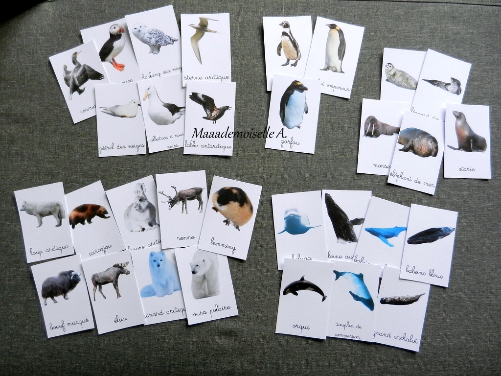 Maaademoiselle A.: || Cartes de nomenclature à télécharger gratuitement ...