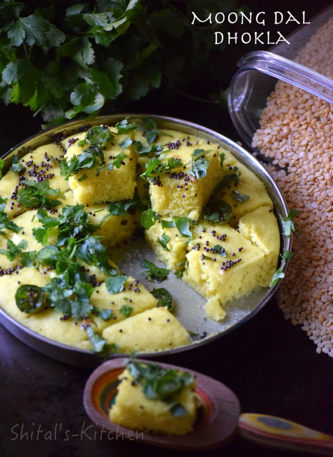 Shital's-Kitchen: Moong Dal Dhokla