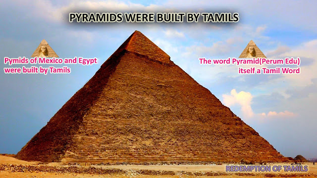 NAKED BRAIN TRUTH CANNOT BECOME A HATE SPEECH AGAINST CRIMINALS ...